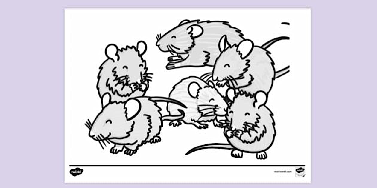 Mice and Mouse Colouring Sheet | KS1 Resources | Twinkl