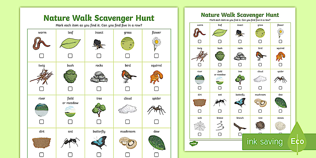 Editable Nature Walk Scavenger Hunt (teacher made) - Twinkl