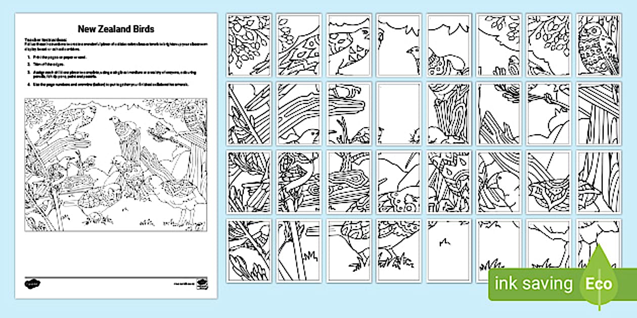 New Zealand Birds Mindful Collaborative Colouring Pack