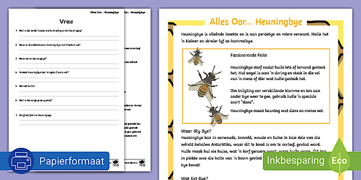 Alles oor Heuningbye Begripslees en Begripstoets - Twinkl
