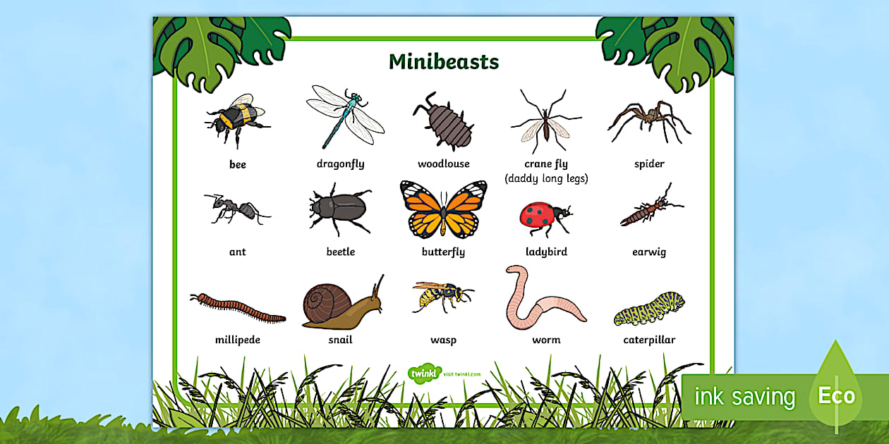 Minibeast Word Mat - Word mat (teacher made) - Twinkl