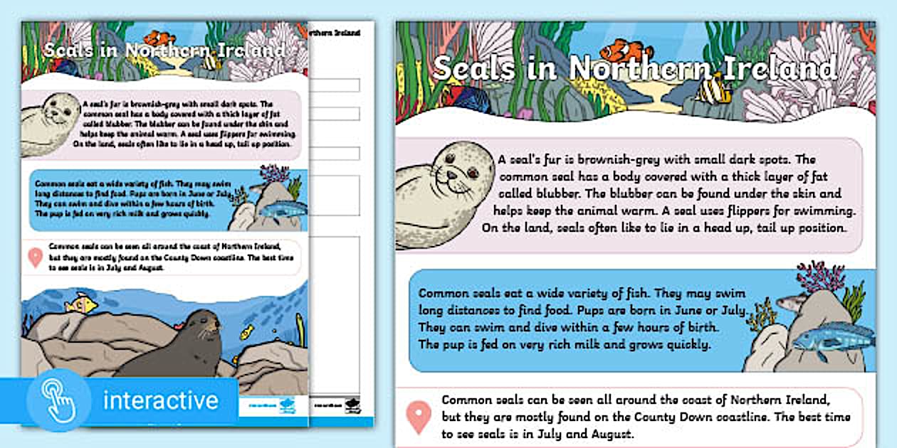 Seals in Northern Ireland Differentiated Comprehension Challenge Sheet - NI