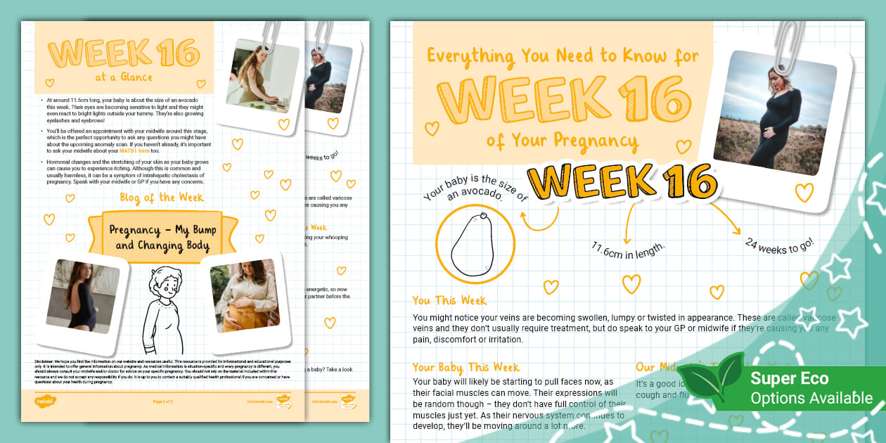 Everything You Need to Know for Week 16 of Your Pregnancy