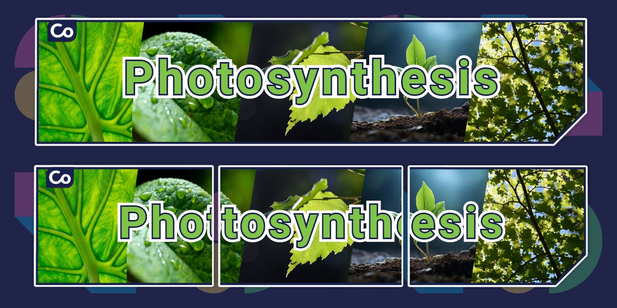 Photosynthesis Display Banner (Teacher-Made) - Twinkl