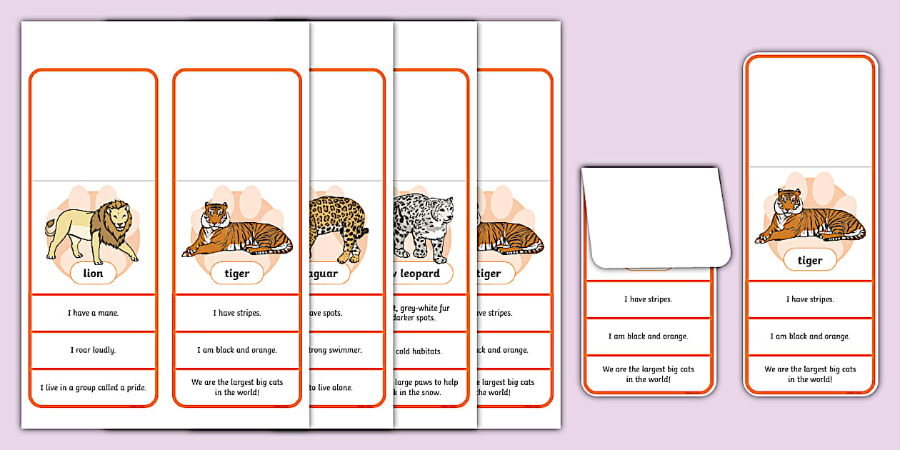 What Am I? Guess the Big Cat Game (teacher made) - Twinkl