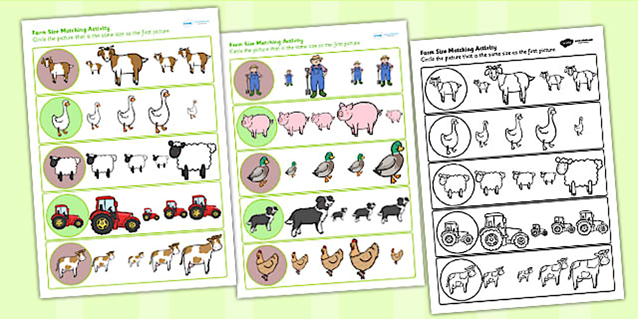Farm Size Matching Worksheet (teacher made) - Twinkl