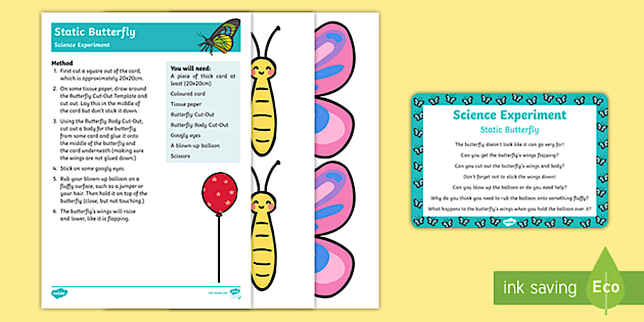 EYFS Static Butterfly Science Experiment and Prompt Card Pack