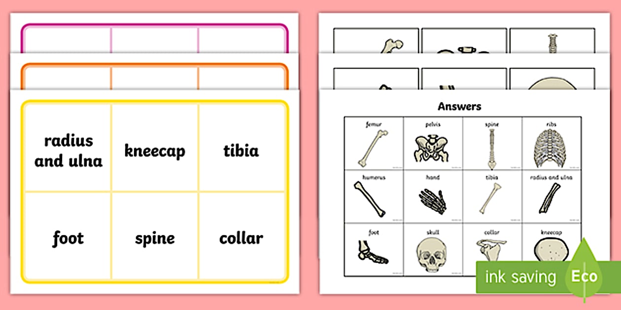 Editable Bones of the Body Bingo (teacher made) - Twinkl