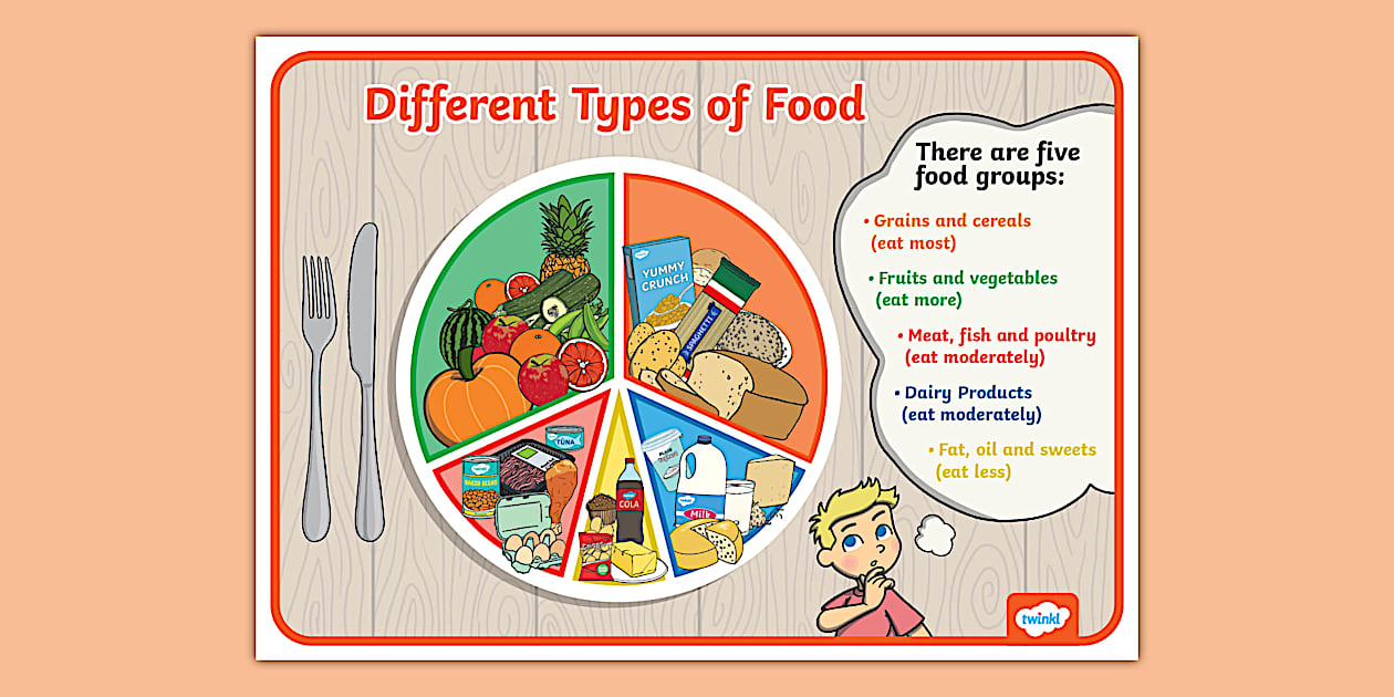 What We Need to Live: Different Types of Food - Display Poster