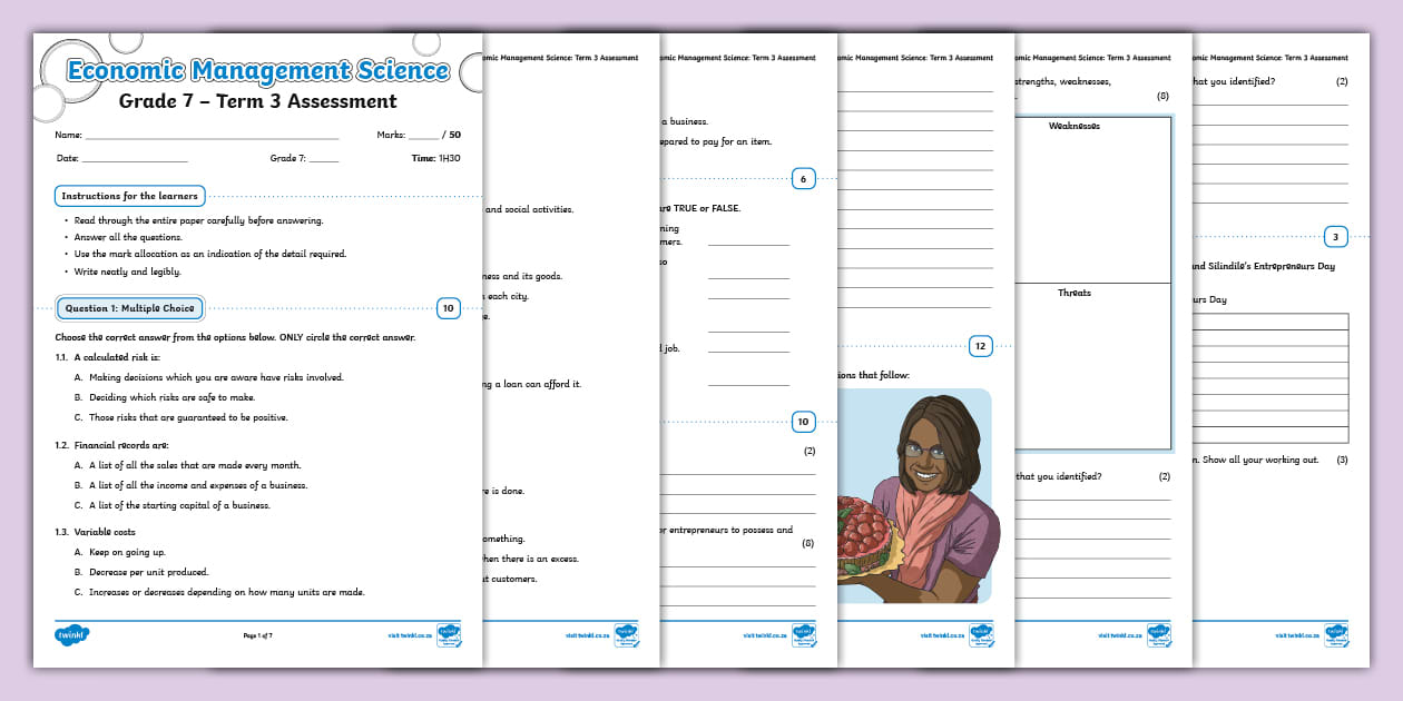 Economic Management Science | EMS Grade 7 Term 3 Test Papers