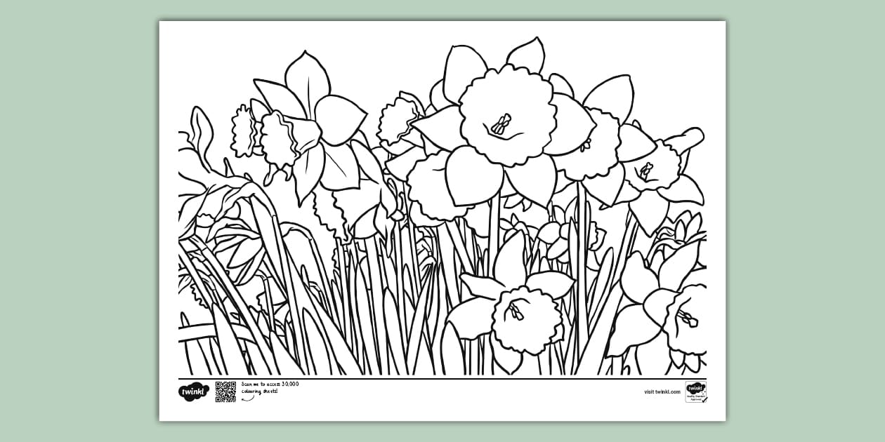 Colouring Page Summer Flowers | Colouring Sheets