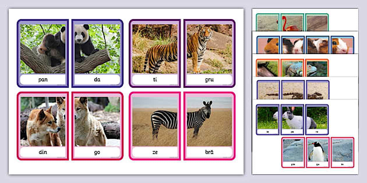 Despărțirea în silabe: Animale sălbatice Jetoane cu imagini