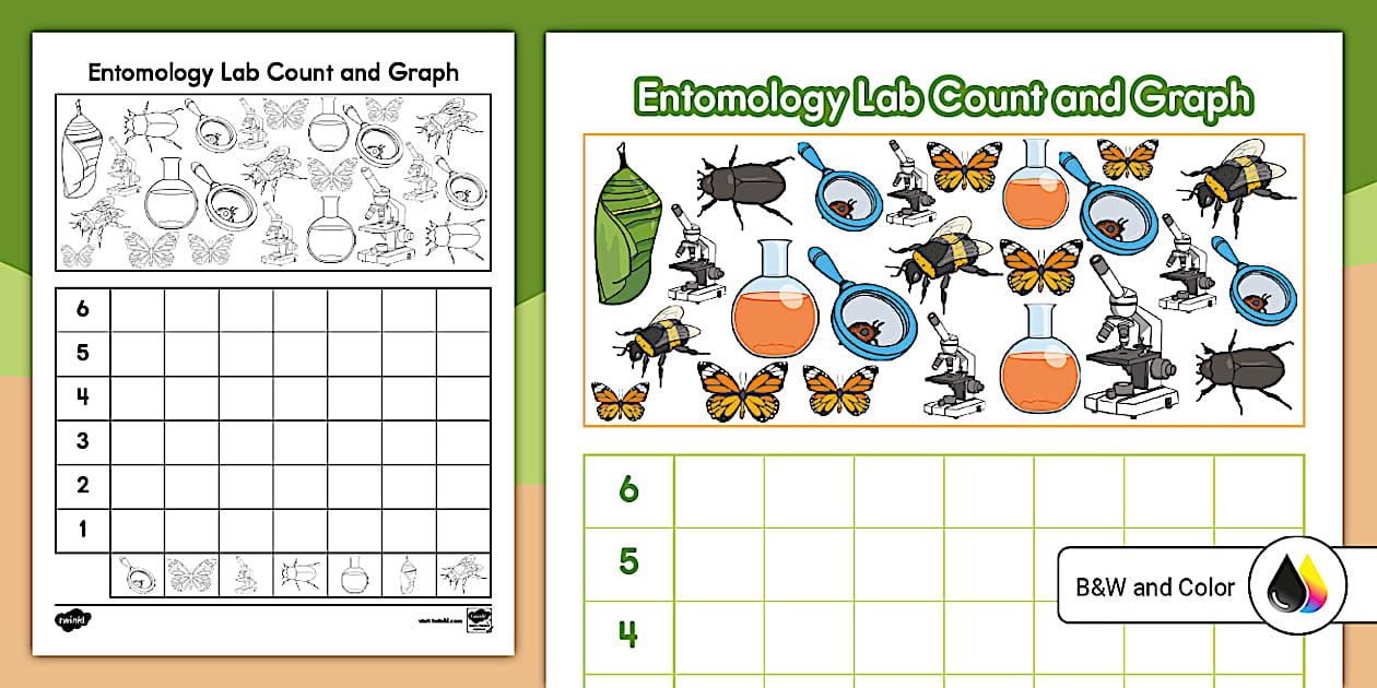 Entomology Lab Count and Graph Worksheet (teacher made)