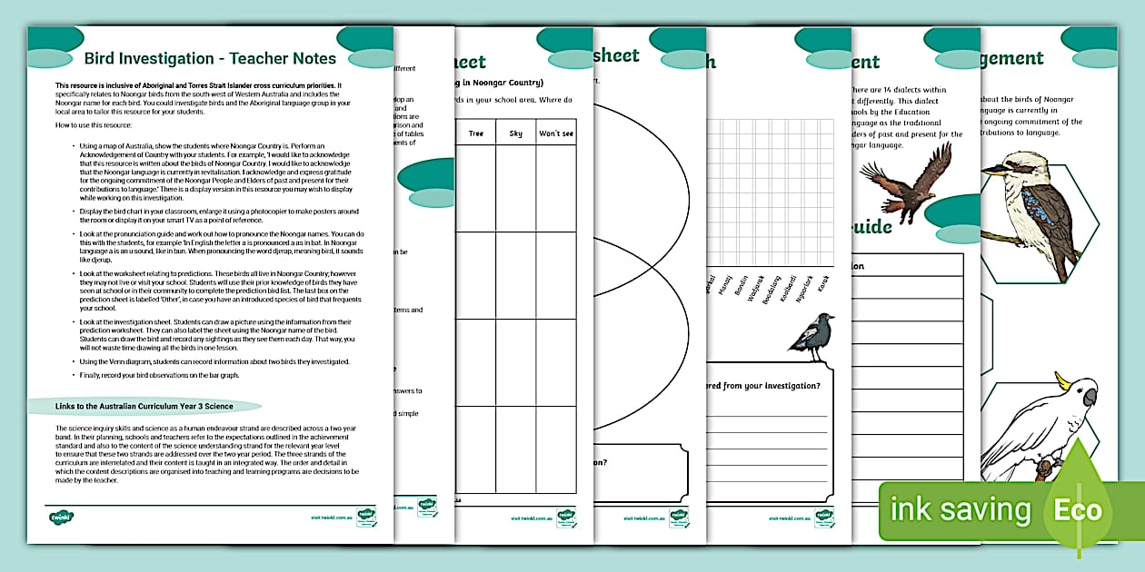 Bird Investigation Incorporating Noongar Language - Twinkl