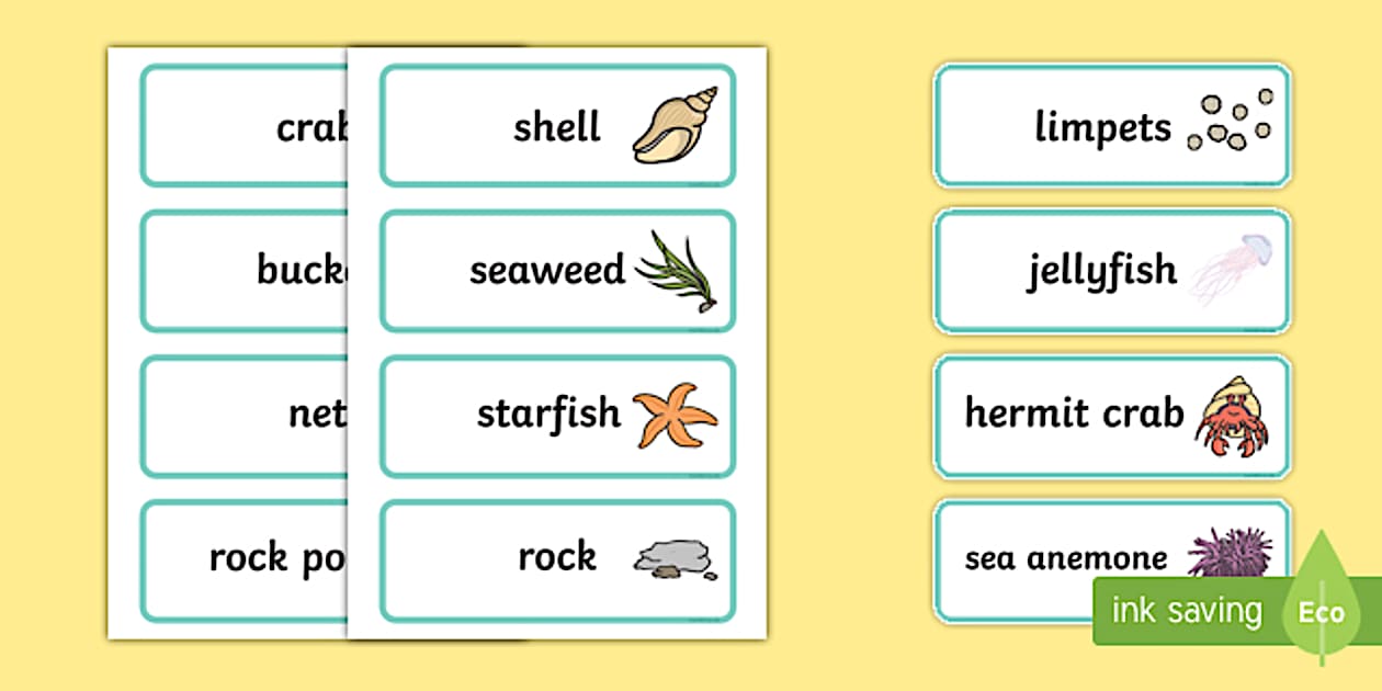Seaside Rock Pool Word Cards (teacher made) - Twinkl
