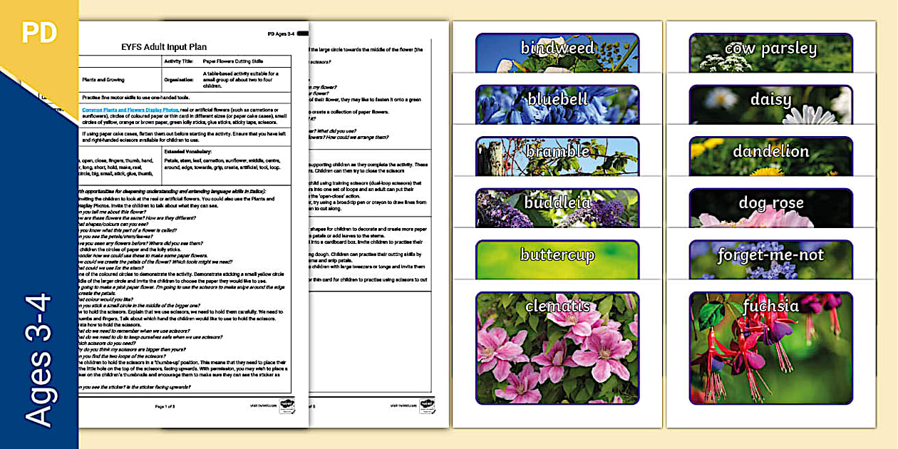 EYFS Paper Flowers Cutting Skills Adult Input Plan | Twinkl