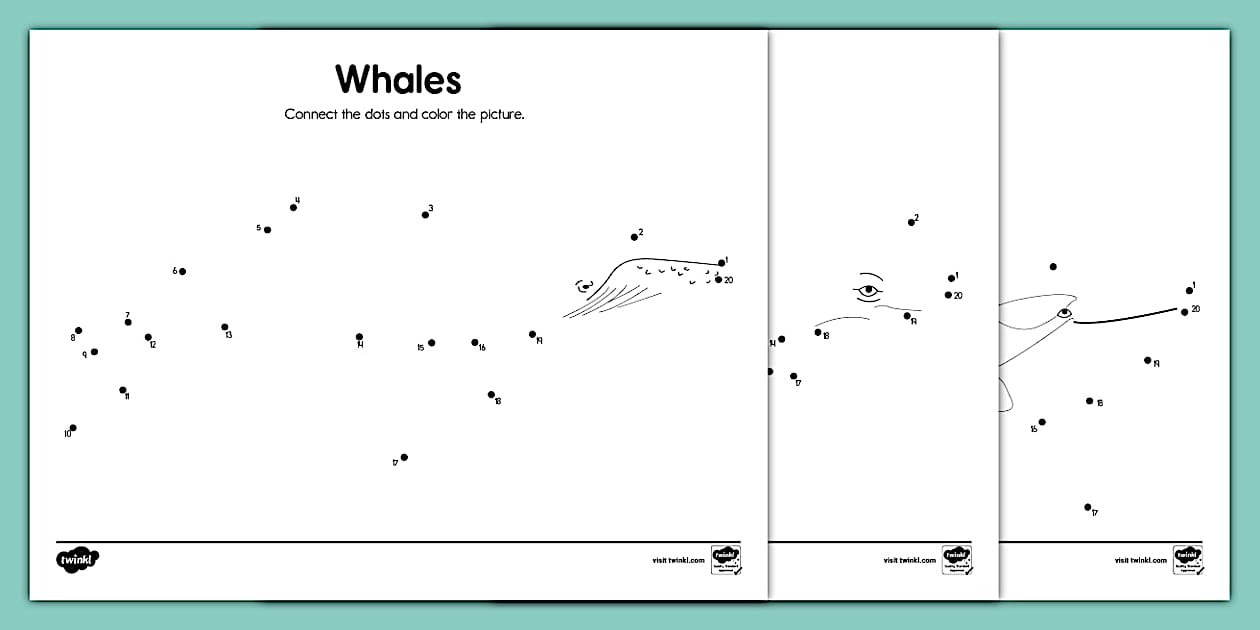 Whales Dot to Dot Activities (teacher made) - Twinkl