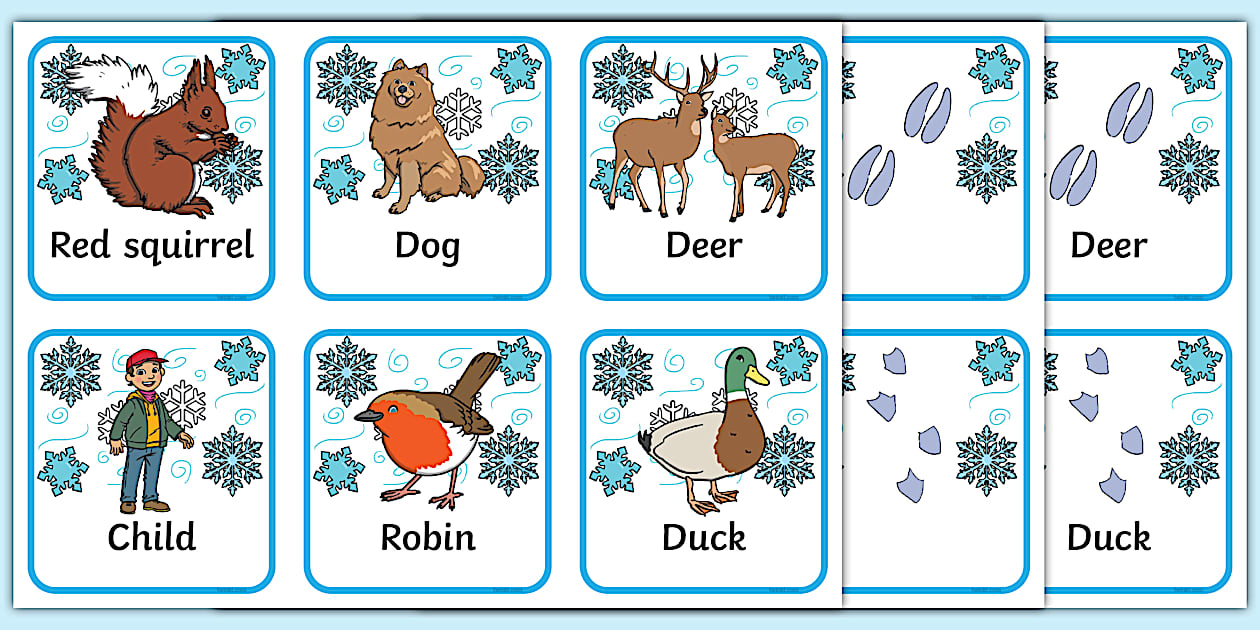 Who Made These Tracks? Matching Cards