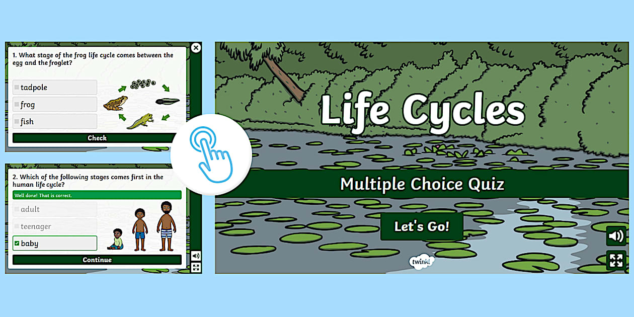 Life Cycles Multiple Choice Quiz (teacher made) - Twinkl