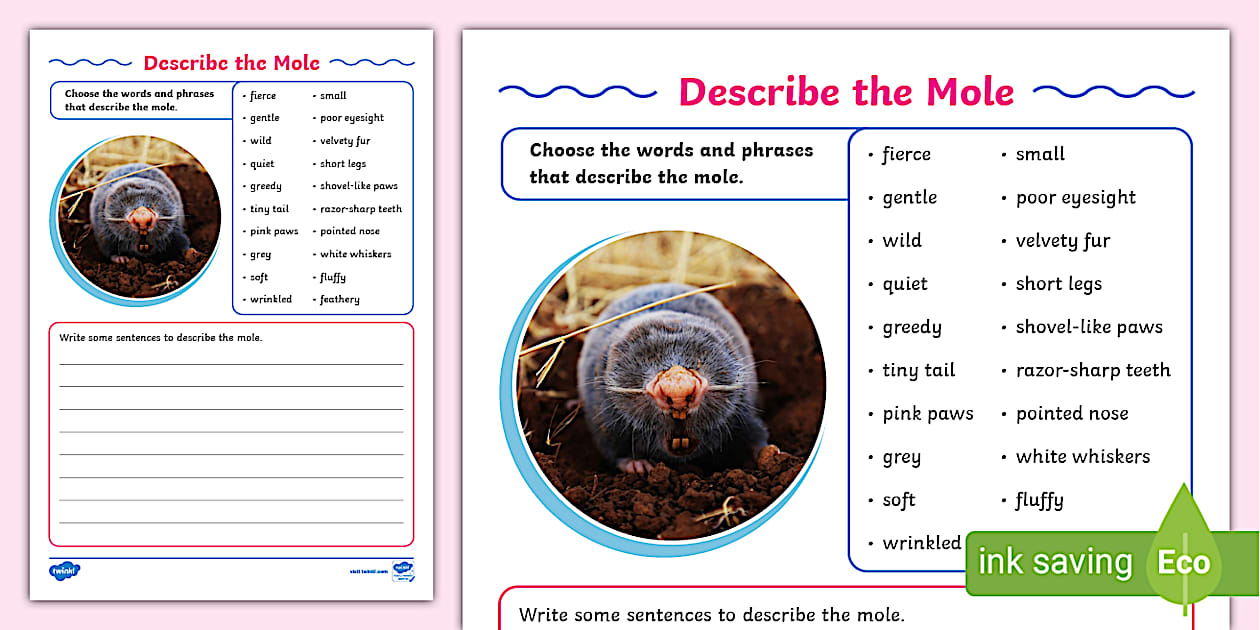 Describe the Mole Writing Worksheet
