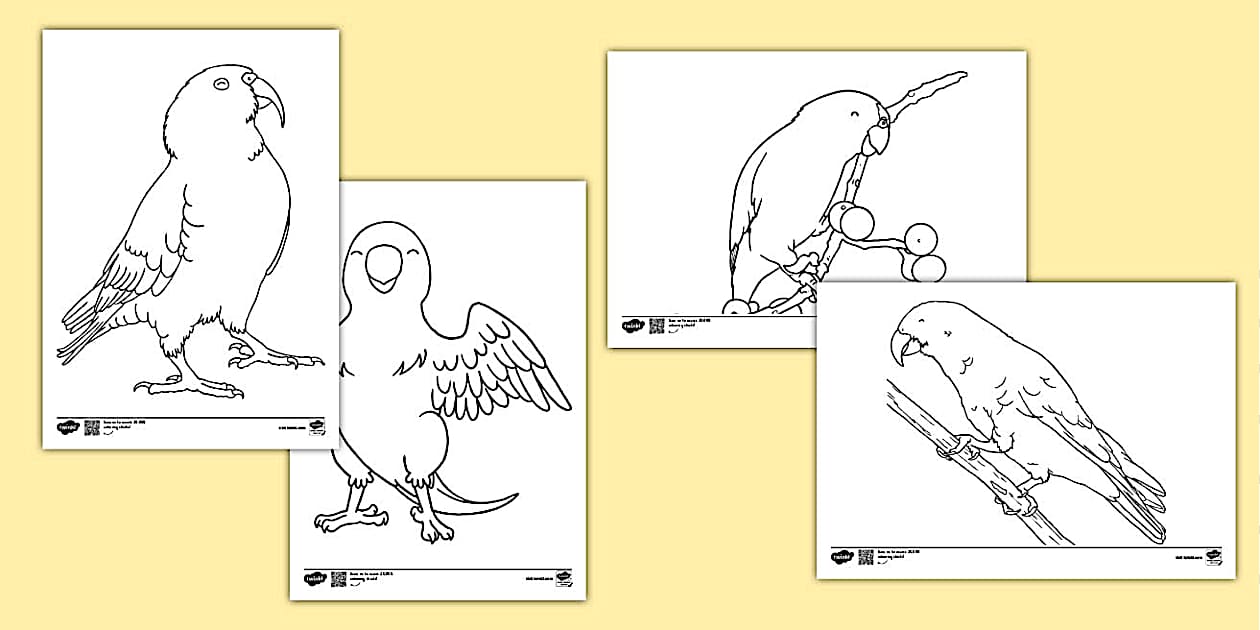 Parrot Colouring Picture - Primary Resources (teacher made)