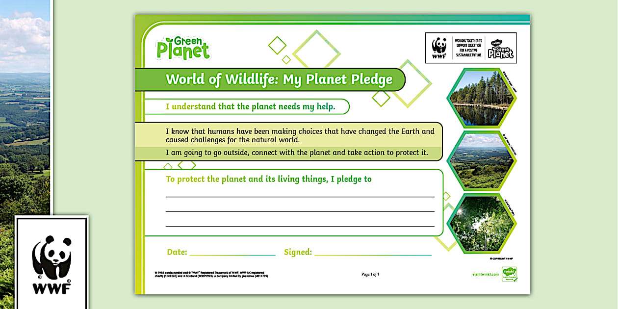Climate Change Pledge Template | WWF | Twinkl Resources