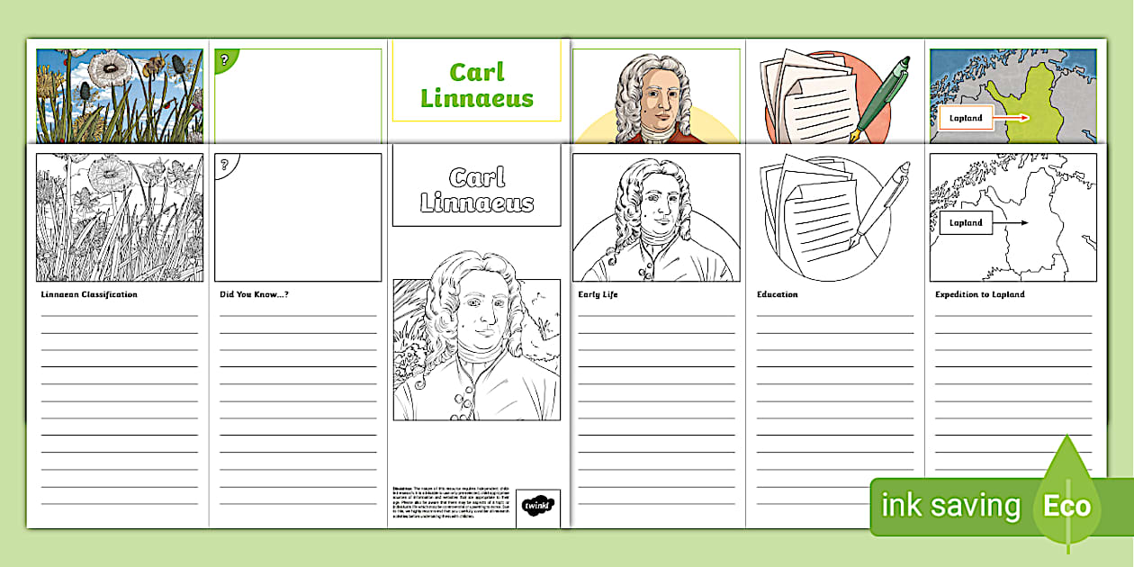 Carl Linnaeus Leaflet Template (teacher made) - Twinkl