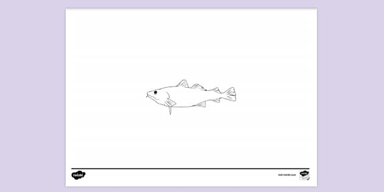 Cod Fish Colouring | Colouring Sheet - Twinkl