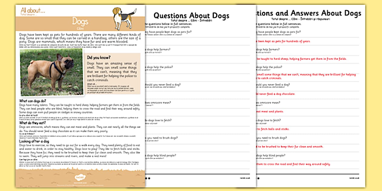 Dogs Reading Comprehension Romanian Translation - Twinkl