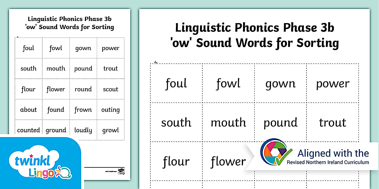 Northern Ireland Linguistic Phonics 3b 'ow' Sound Words for Sorting Sheet