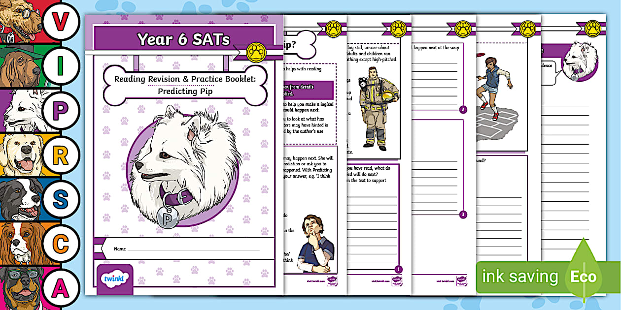 Year 6 Reading Revision & Practice Predicting Pip Booklet