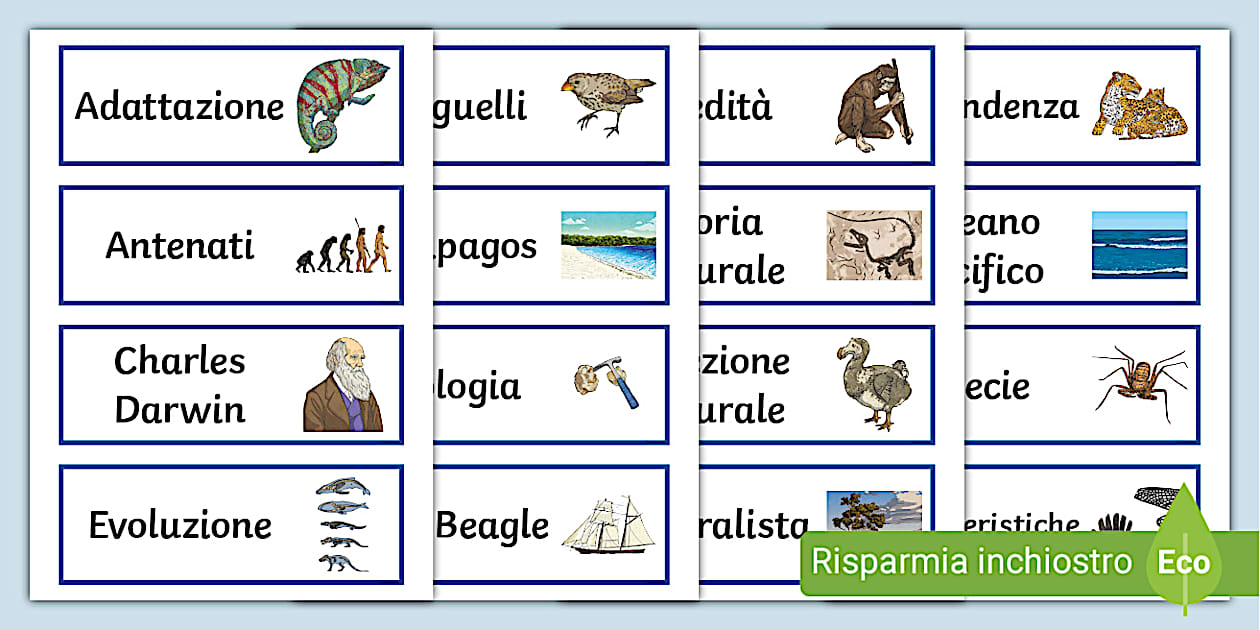 Parole Chiave su Charles Darwin (teacher made) - Twinkl
