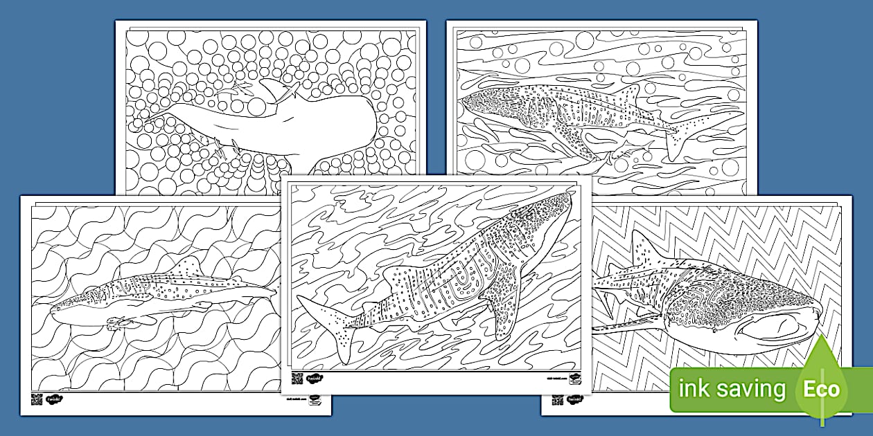 Whale Sharks of Qatar Mindful Colouring Pages - Twinkl