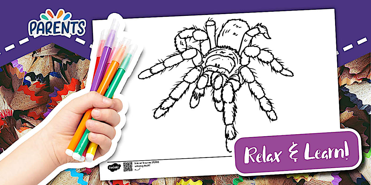 Tarantula Colouring Page