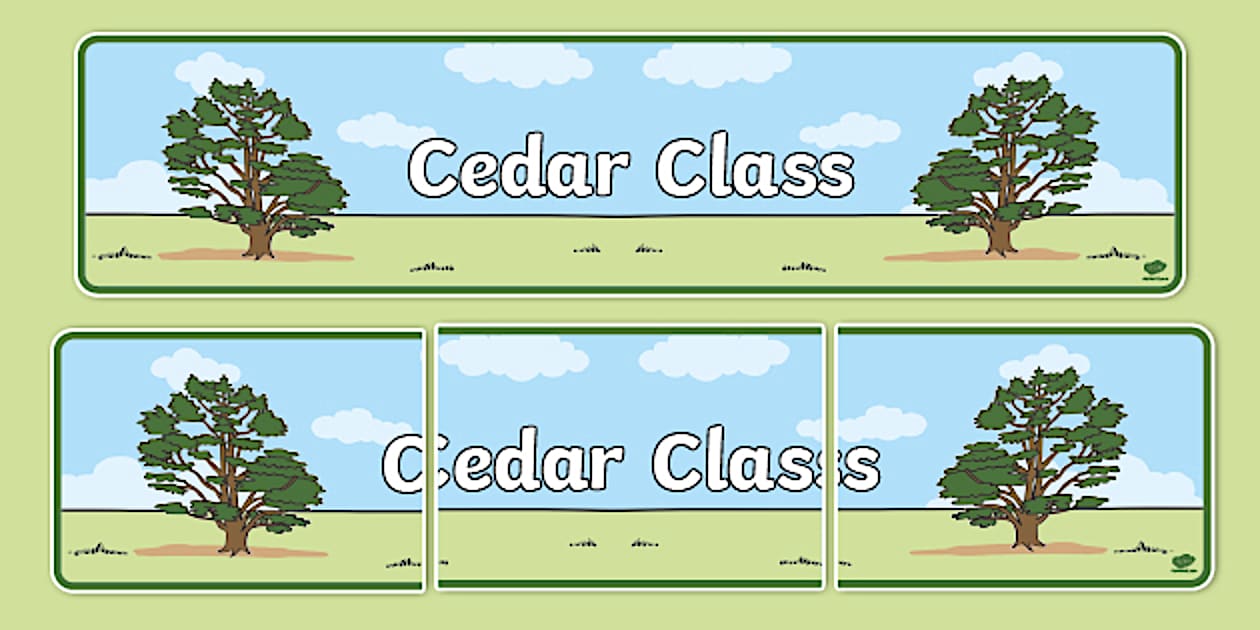 Cursive Cedar Tree Display Banner (teacher made) - Twinkl