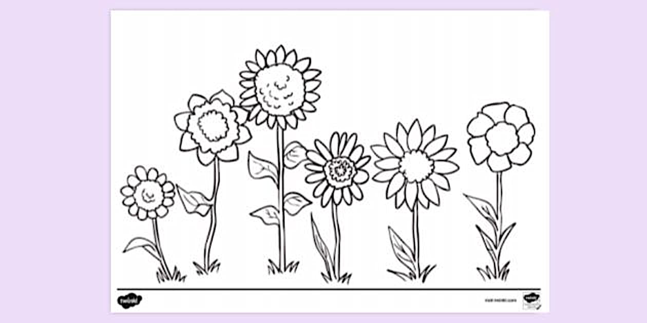 Colouring Page Pretty Flowers | Colouring Sheets - Twinkl