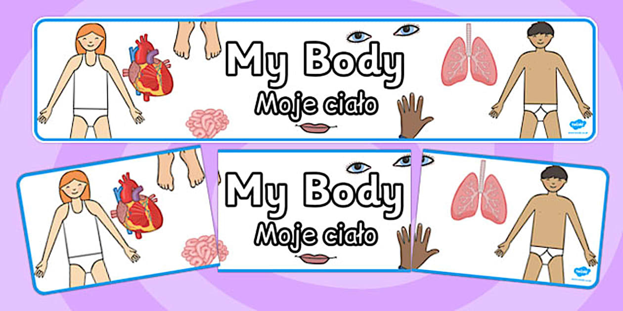 👉 My Body Banner Polish Translation (teacher made)