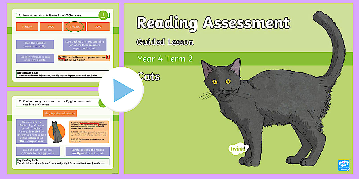 Year 4 Term 2 Non-Fiction Reading Assessment PowerPoint