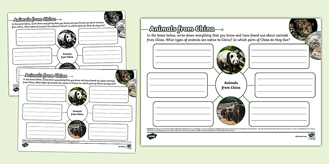 Animals from China Mind Map (teacher made) - Twinkl