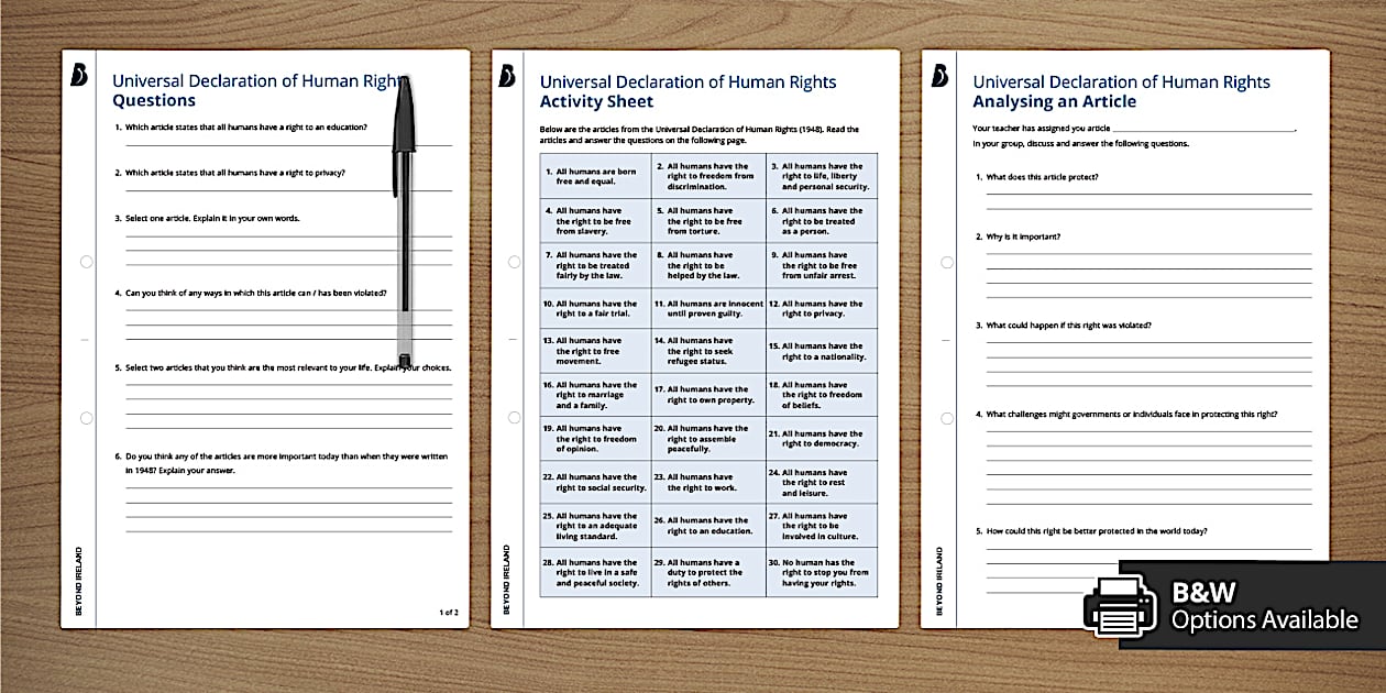 Universal Declaration of Human Rights Activity - Twinkl