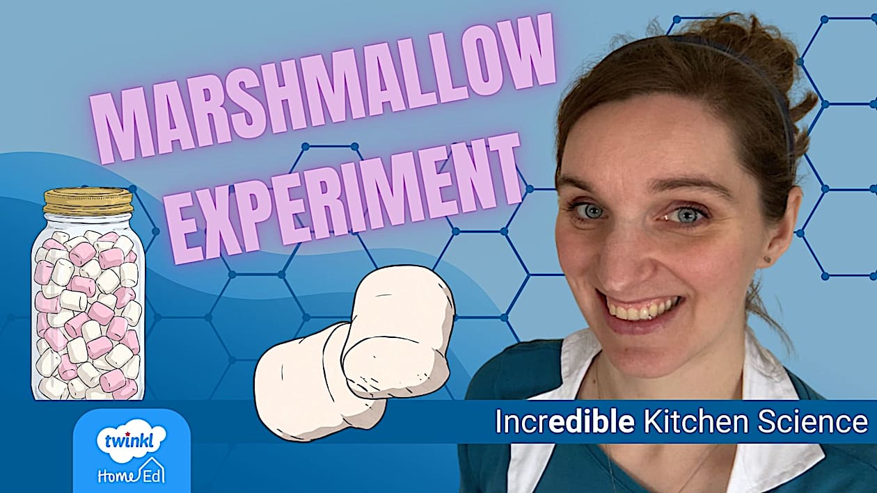 Incredible Kitchen Science: Marshmallow Experiment - Twinkl