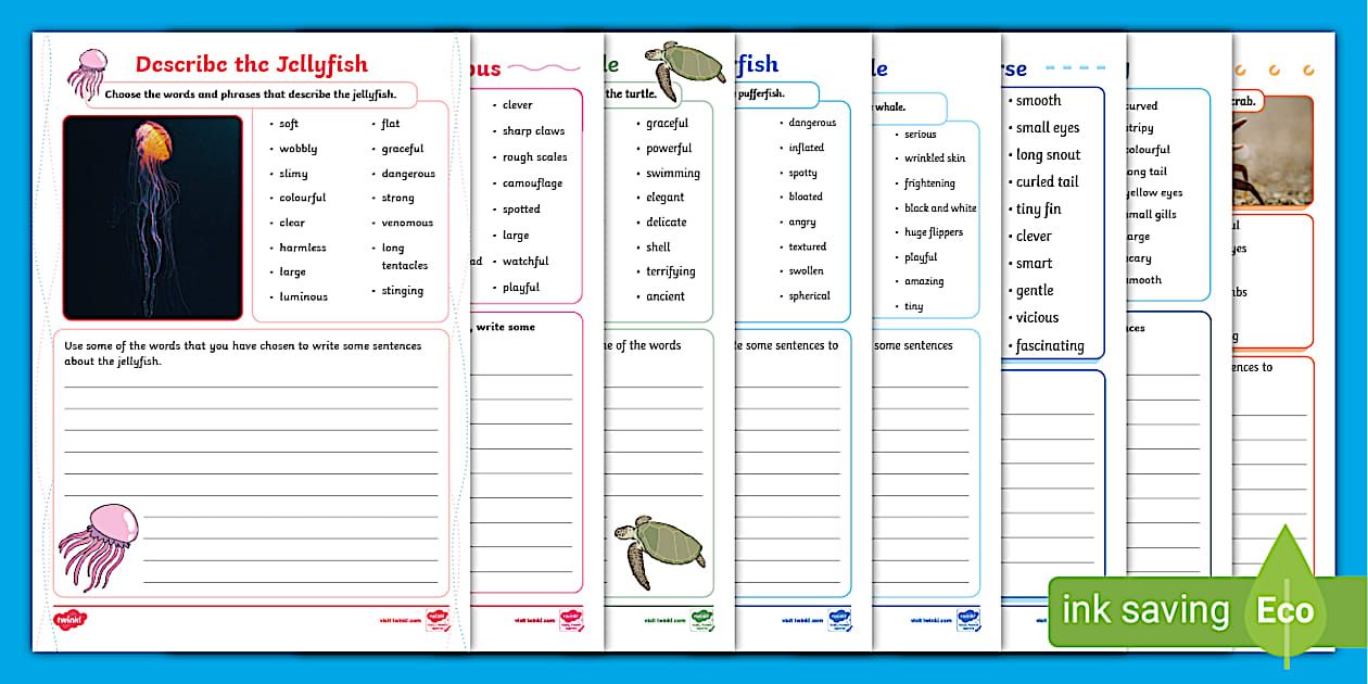 Describe the Sea Animals Pack (teacher made) - Twinkl