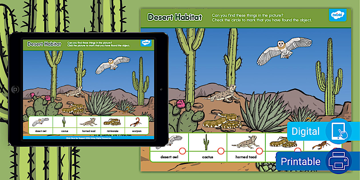 Desert Habitat Can You Find? Picture Worksheet - Twinkl