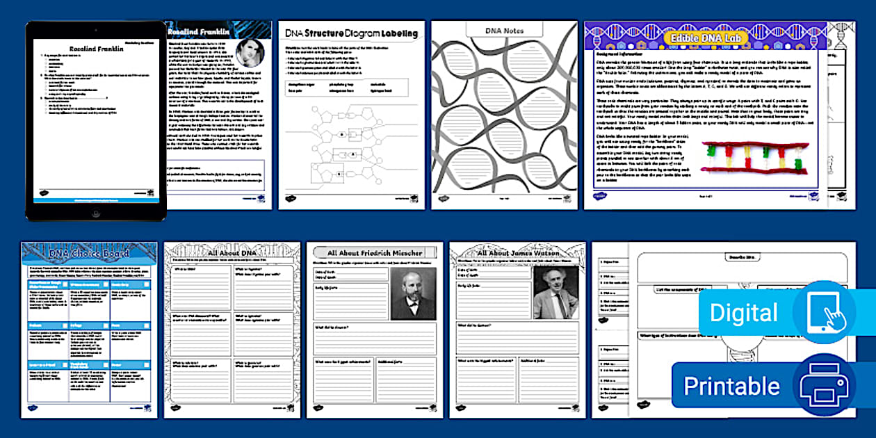 DNA Activity Pack for 6th-8th Grade (teacher made) - Twinkl