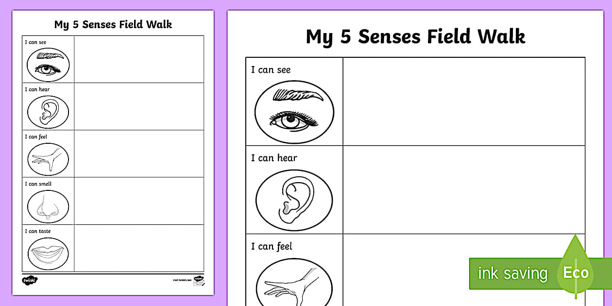 5 Senses Worksheet (teacher made) - Twinkl