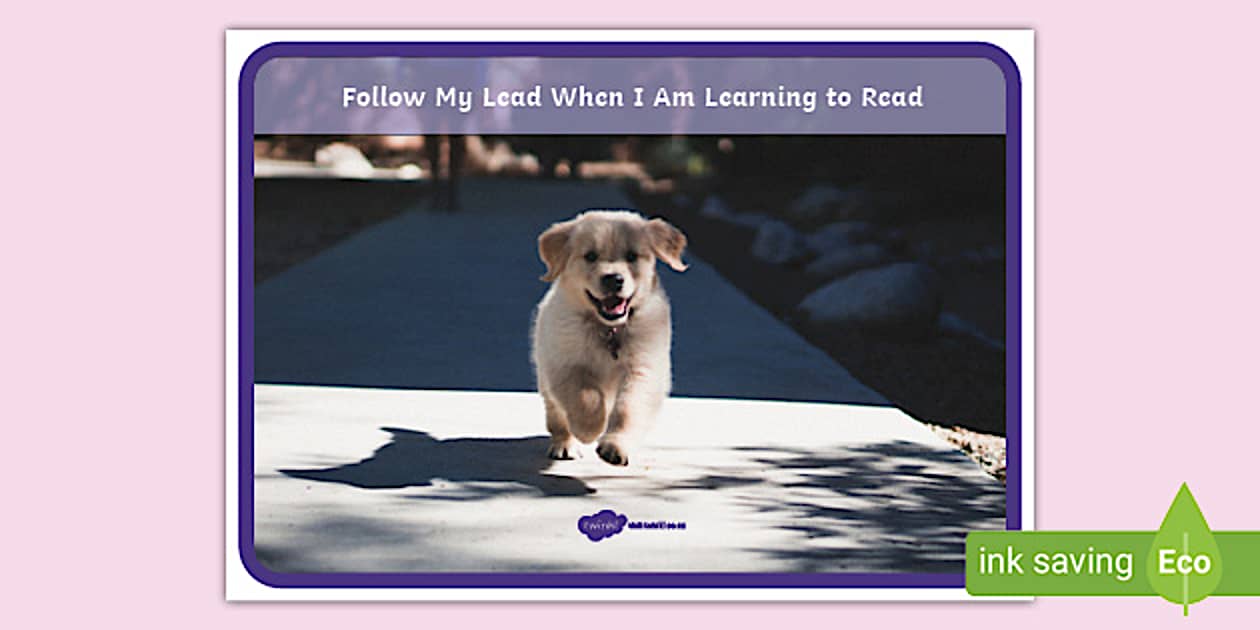 Follow My Lead Poster (teacher made) - Twinkl