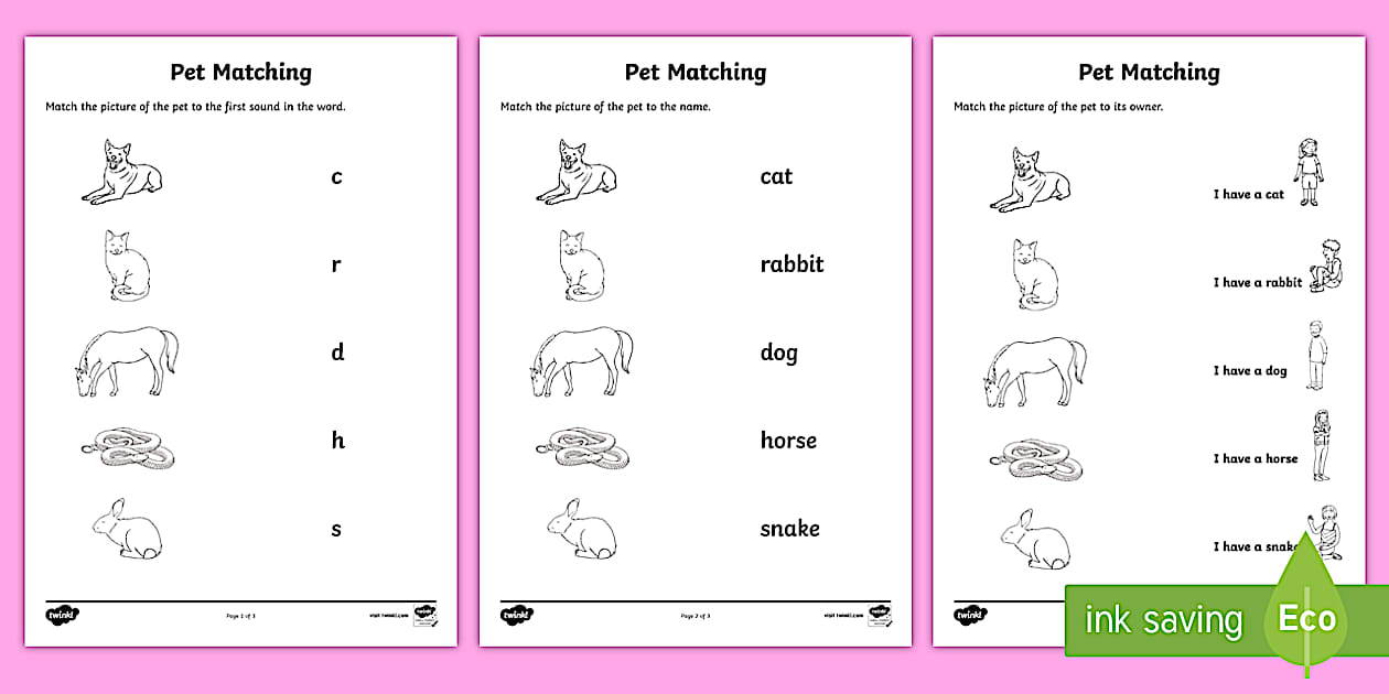 Pet Differentiated Word and Picture Matching Worksheet