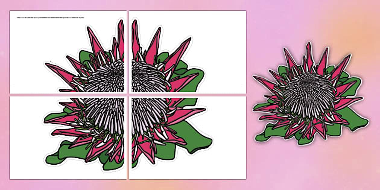 Large King Protea Display Cut-Out - Twinkl