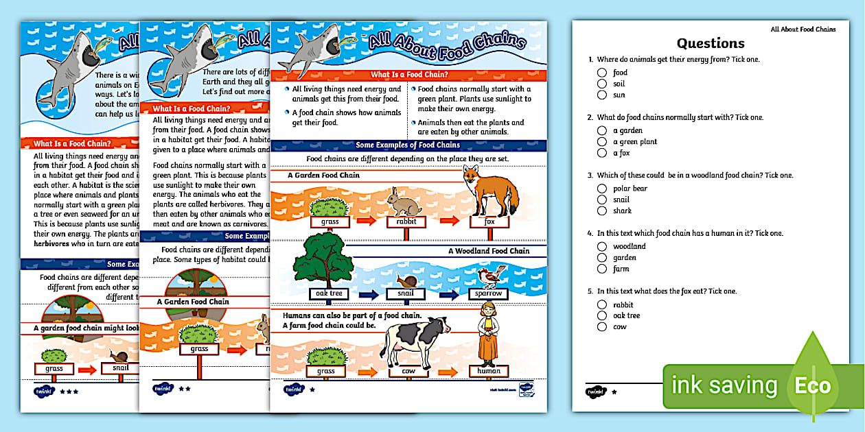 KS1 Food Chains Differentiated Reading Comprehension