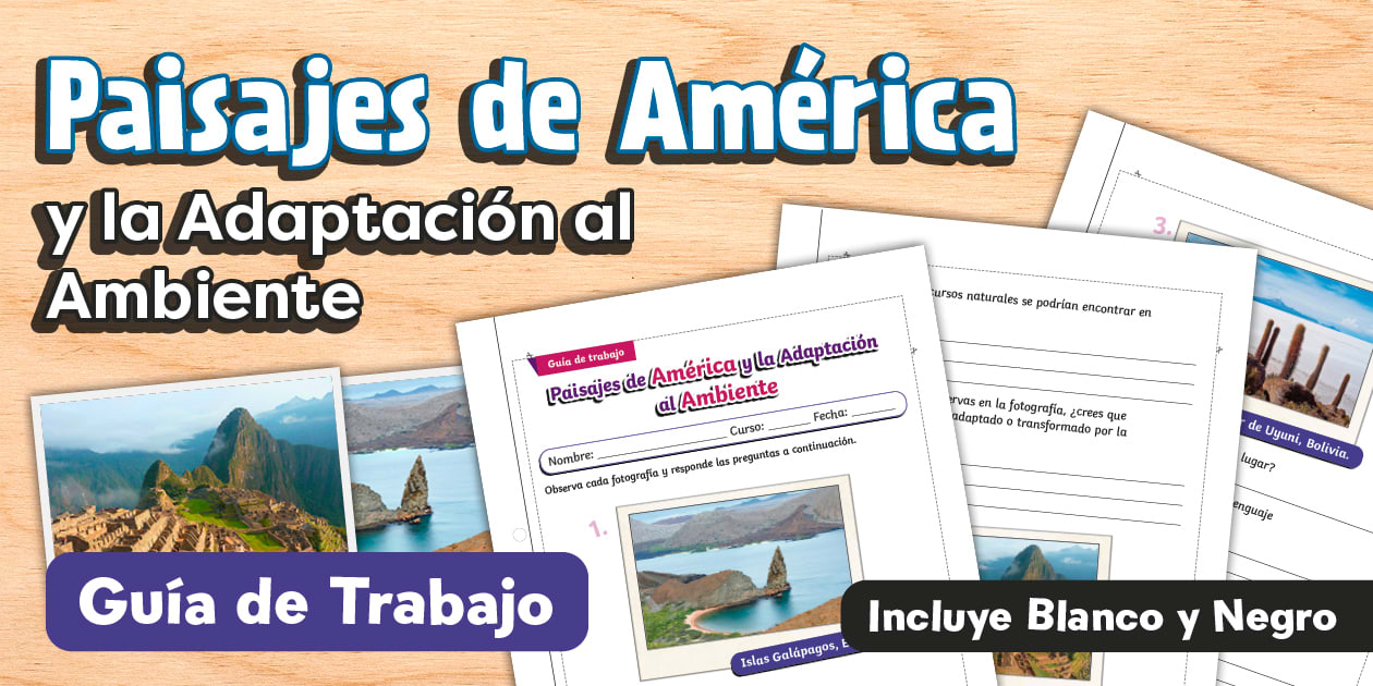Guía de Trabajo | Geografía | Paisajes | América | 4° Básico
